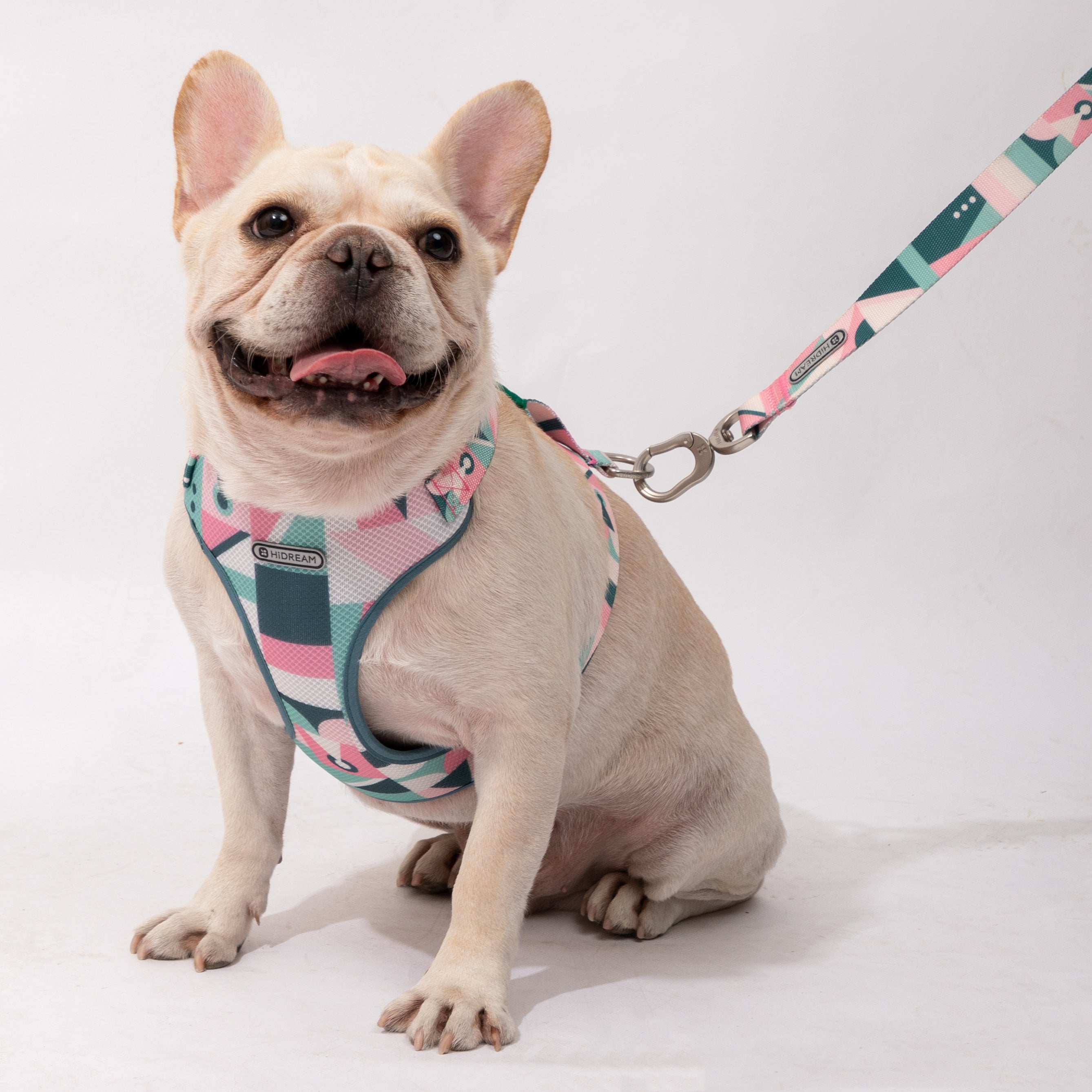 ベストハーネス – Starry Pet Goods